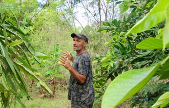 Philippe Sahagian, précurseur de la permaculture en Guadeloupe ...