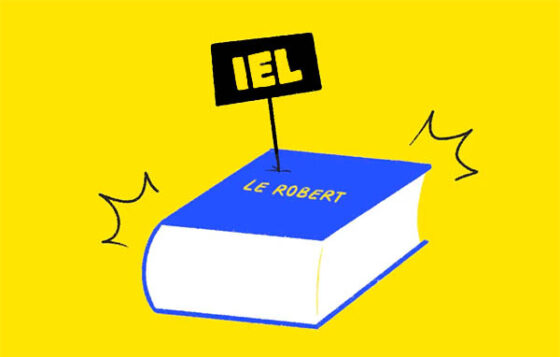 Controverse autour de l’apparition du pronom « iel » dans la version en ...