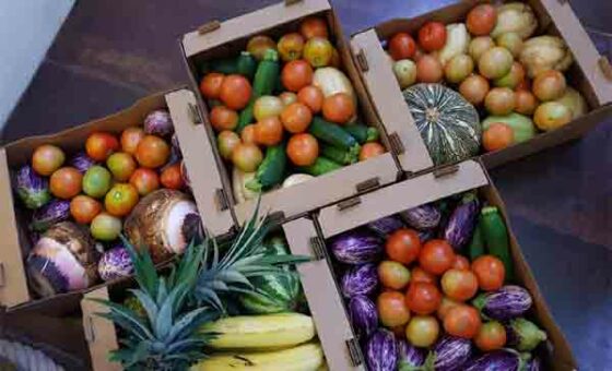 Pesticides : 50 % des fruits et légumes sont contaminés, voici les plus ...