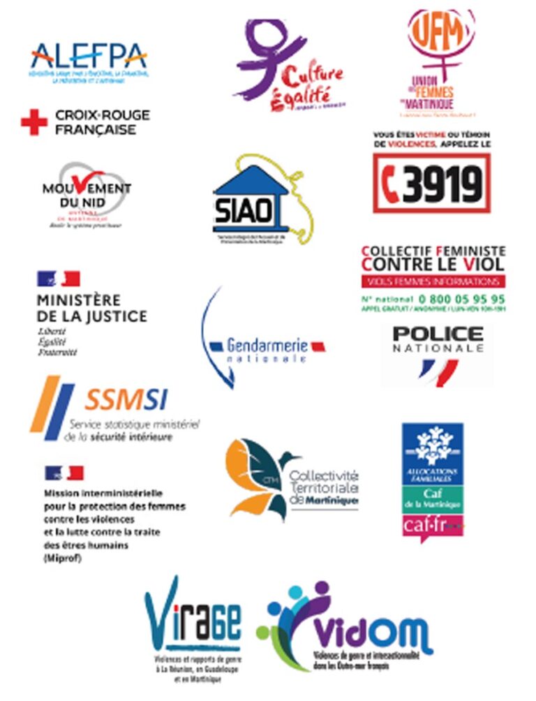 Synthèse des violences envers les femmes en 2024 en Martinique